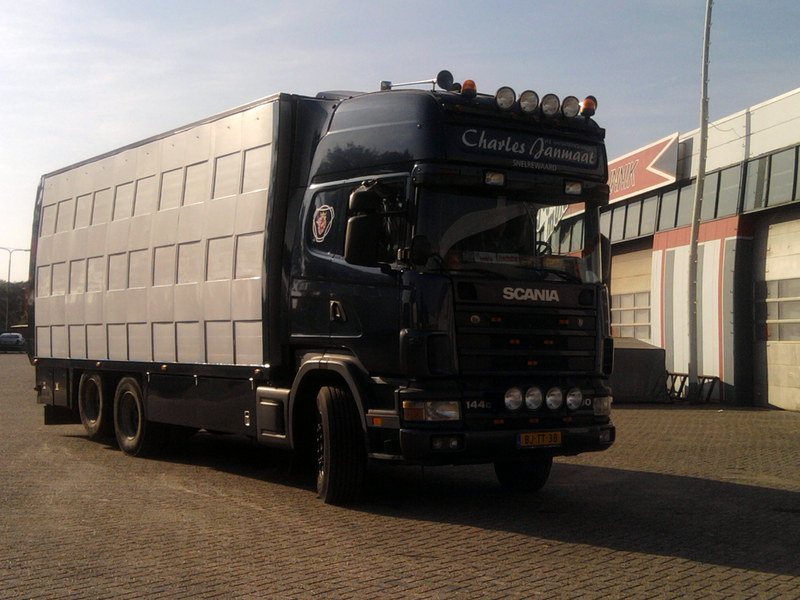 Janmaat, Veehandel Charles - Snelrewaard - Transportfotos.nl